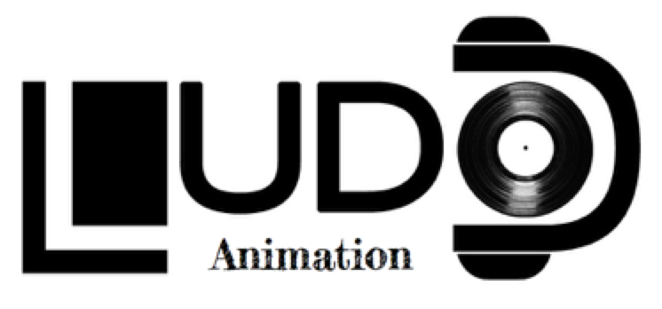 Ludo.Ͻ Animation | DJ de mariage